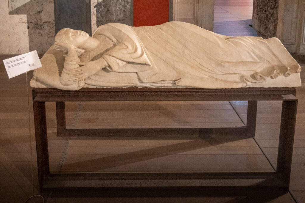 Catane : que faire ? Conseils et guide pratique