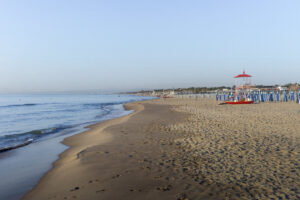 Catane : que faire ? Conseils et guide pratique